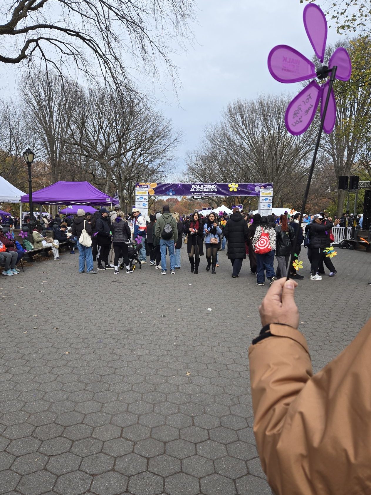 Fitness Check In Day 65: Walk to End Alzheimer’s – Mind Body Synergylia